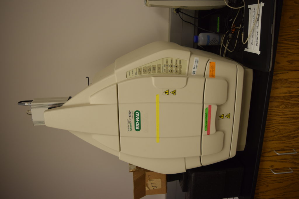 Bio-Rad ChemiDoc XRS+ imaging system – Chemistry